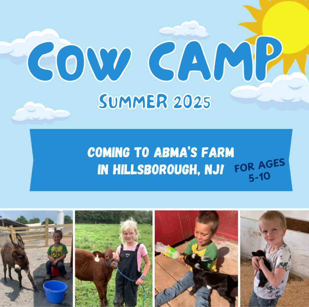 Cow Camp - Summer Camp - Hillsborough, NJ Somerset County - Abma's Farm
